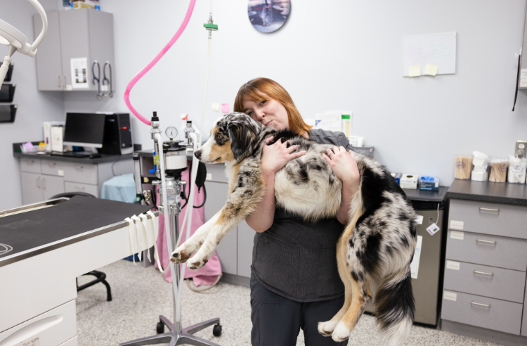 Our Animal Hospital Staff | Burtch Animal Hospital