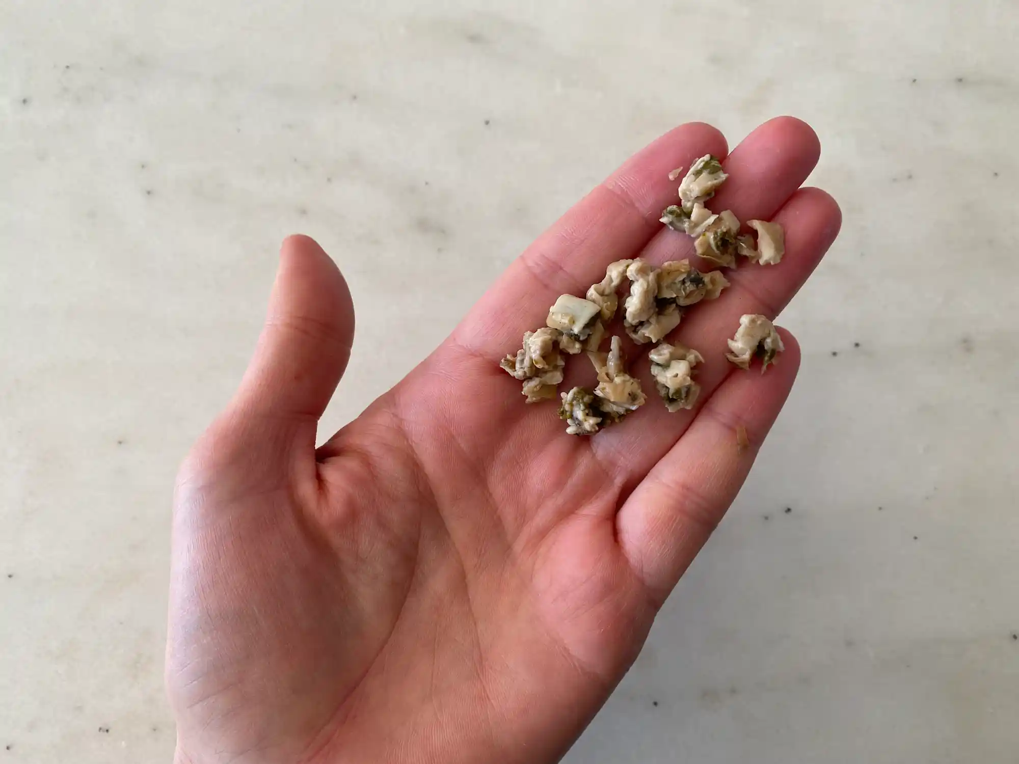 Solid Starts - Can Babies Eat Oysters? - When Can Babies Eat Oysters ...