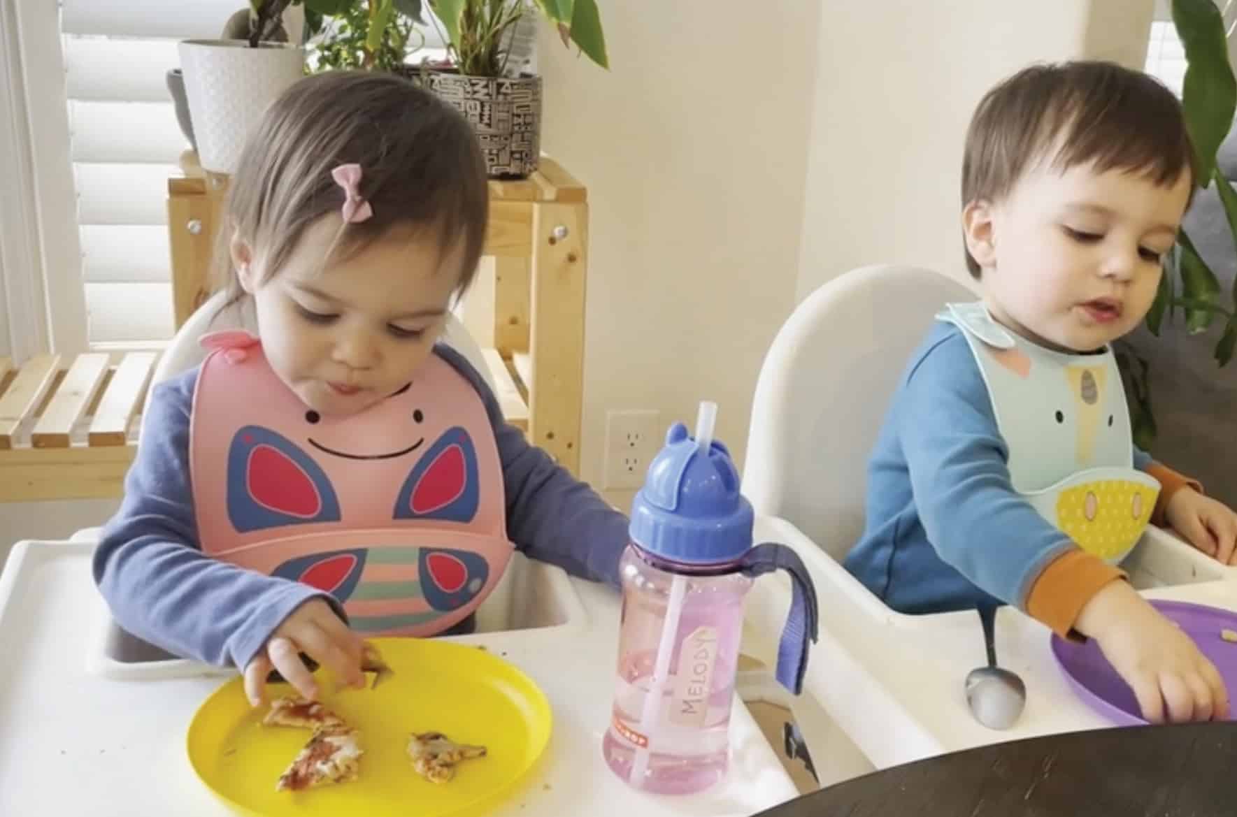 Toddlers at the Table Course - Solid Starts