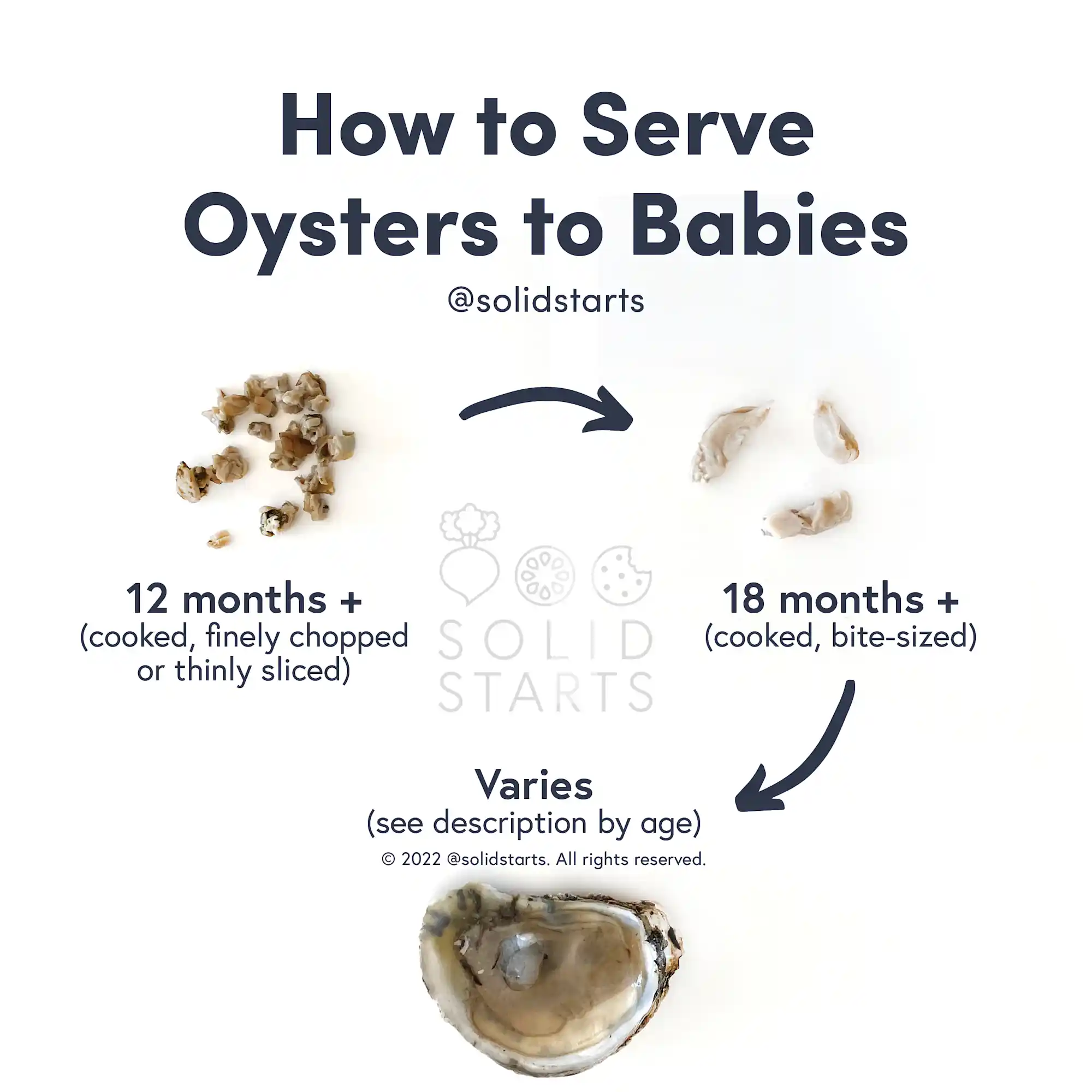 Solid Starts - Can Babies Eat Oysters? - When Can Babies Eat Oysters ...