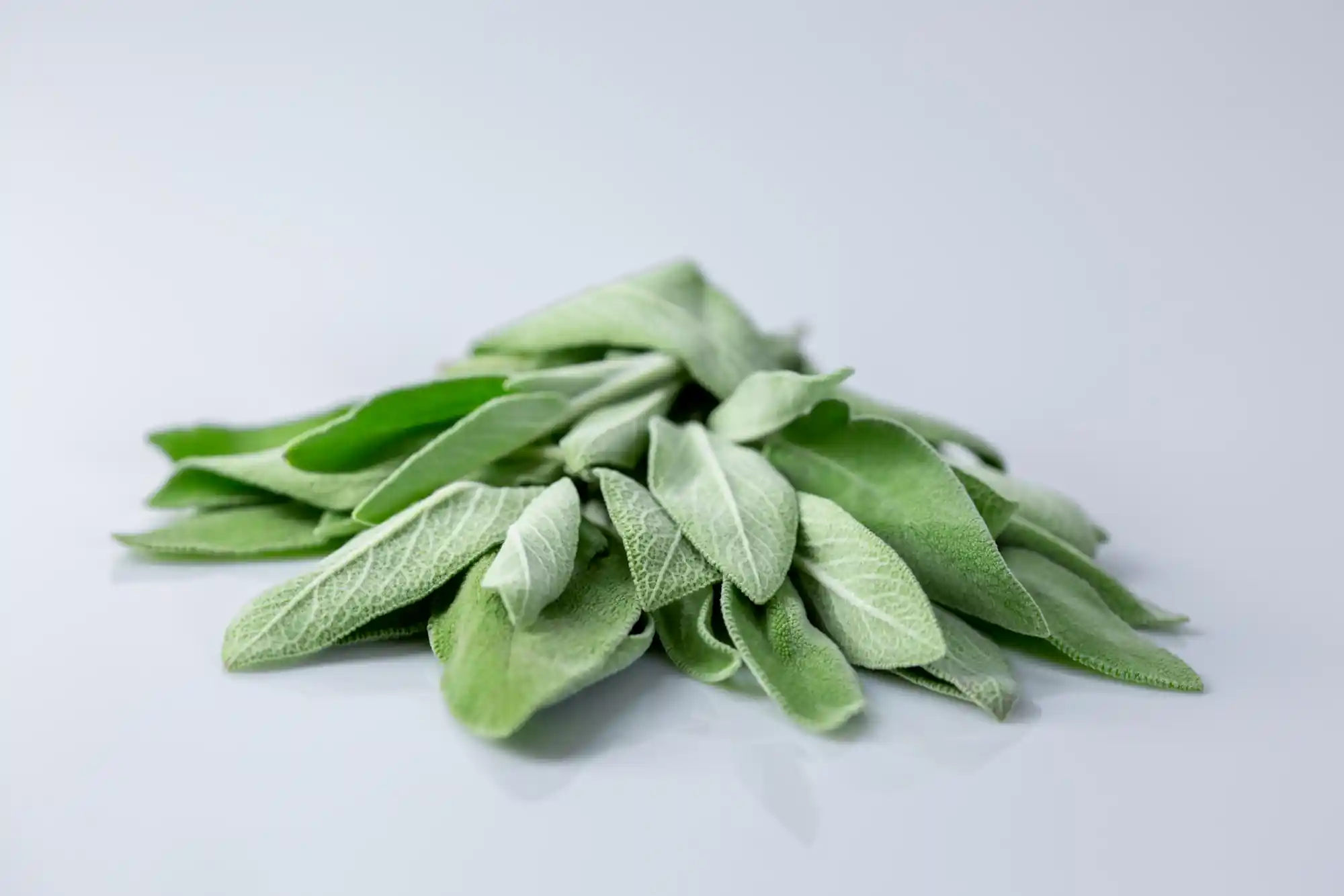 Sage for Babies - Solid Starts