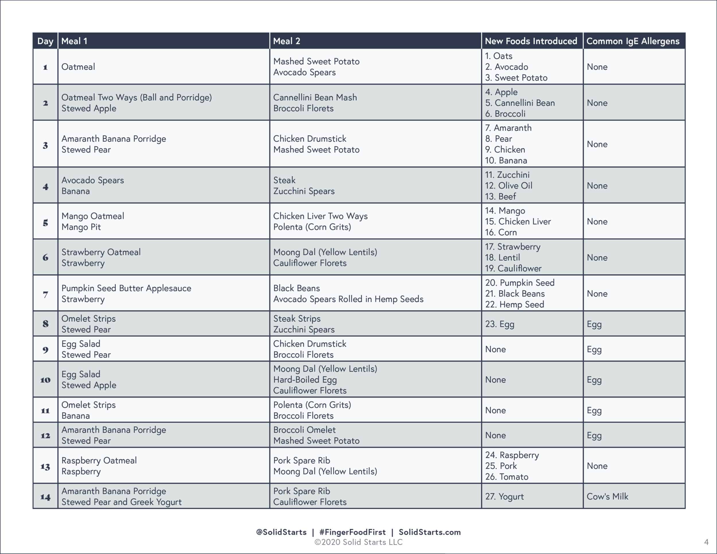 First 100 Days: Daily Meal Plan for Starting Solids - First Foods for Baby