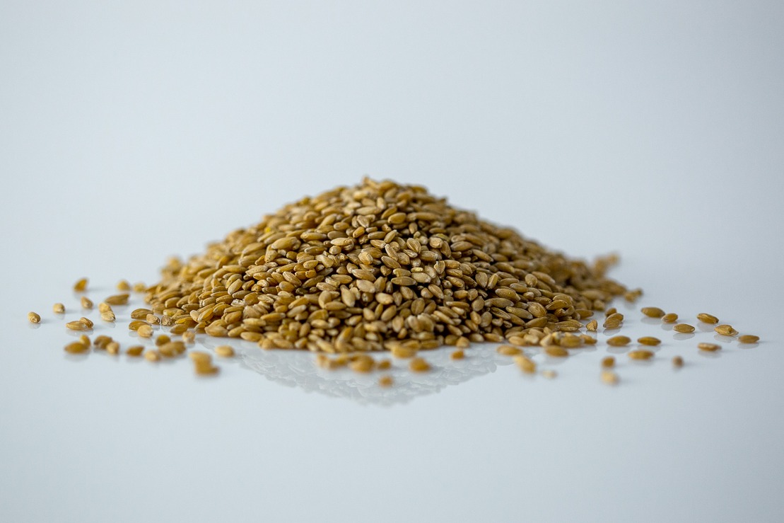 Search - Solid Starts