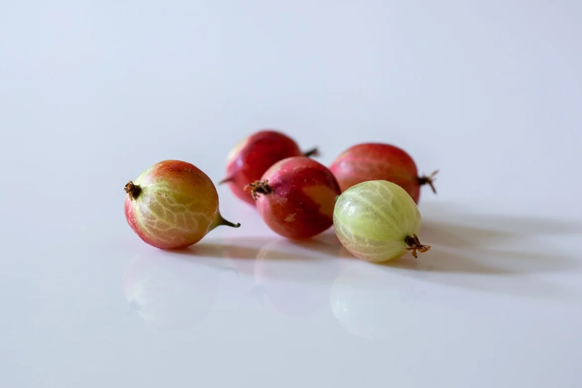Gooseberries for Babies - Solid Starts