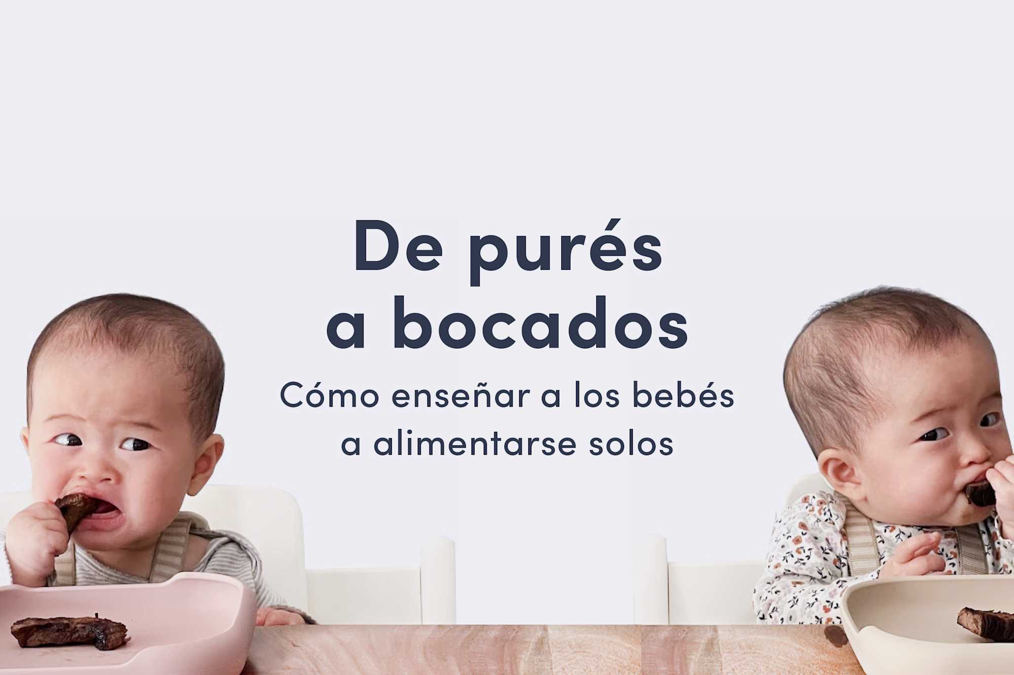 Solid Starts Virtual Courses