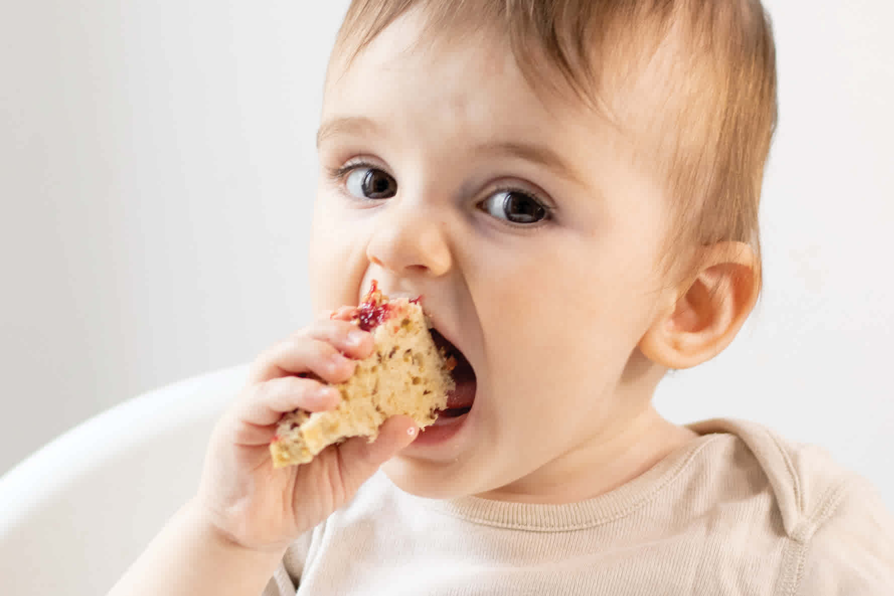 Neurobiology of Swallowing and Choking - Solid Starts PRO