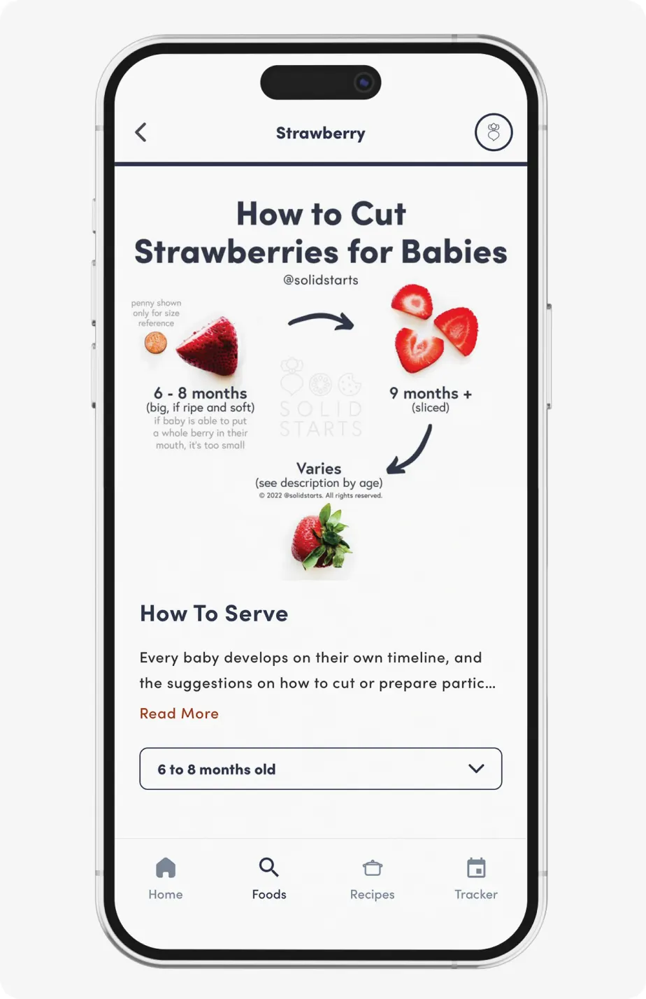 The Solid Starts App - Solid Starts & First Foods Database
