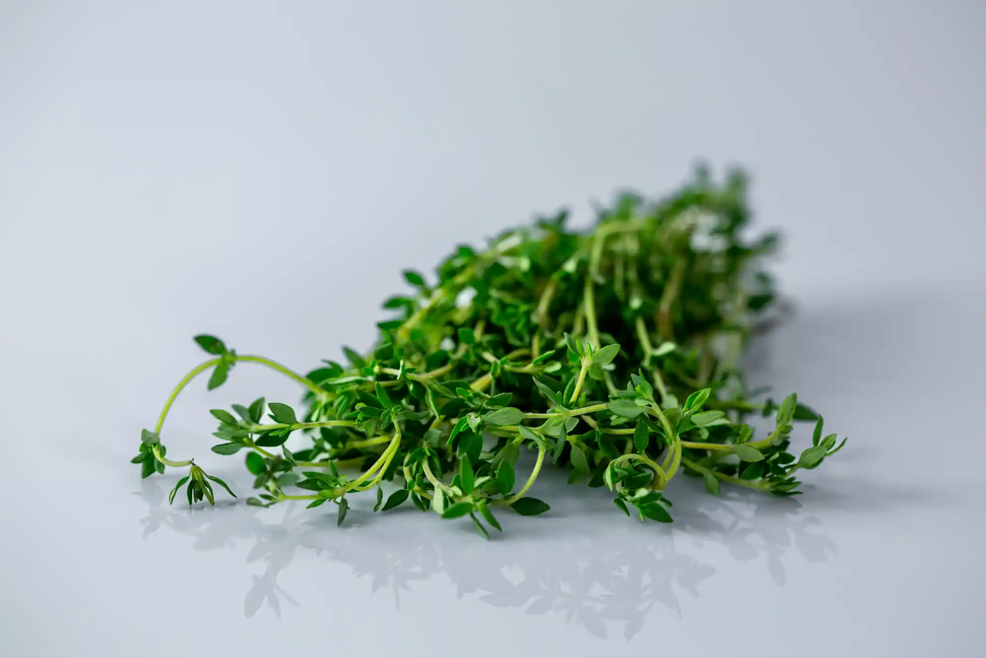 Thyme for Babies - Solid Starts