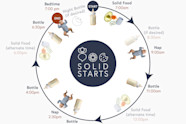 Orzo Solid Starts At Pamela Beeler Blog
