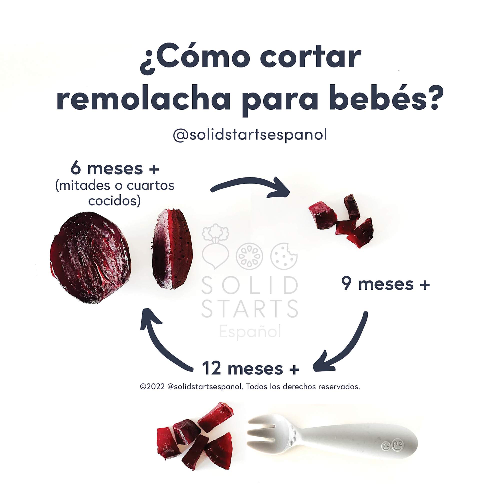 ¿Pueden comer remolacha los bebés? - Solid Starts
