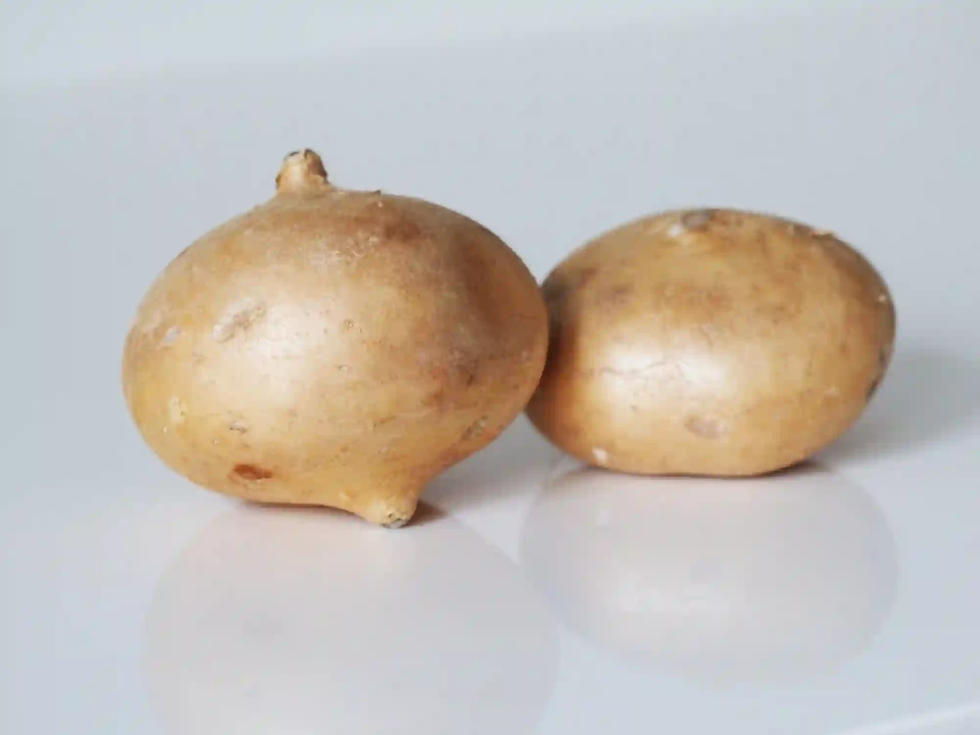 Jicama Size