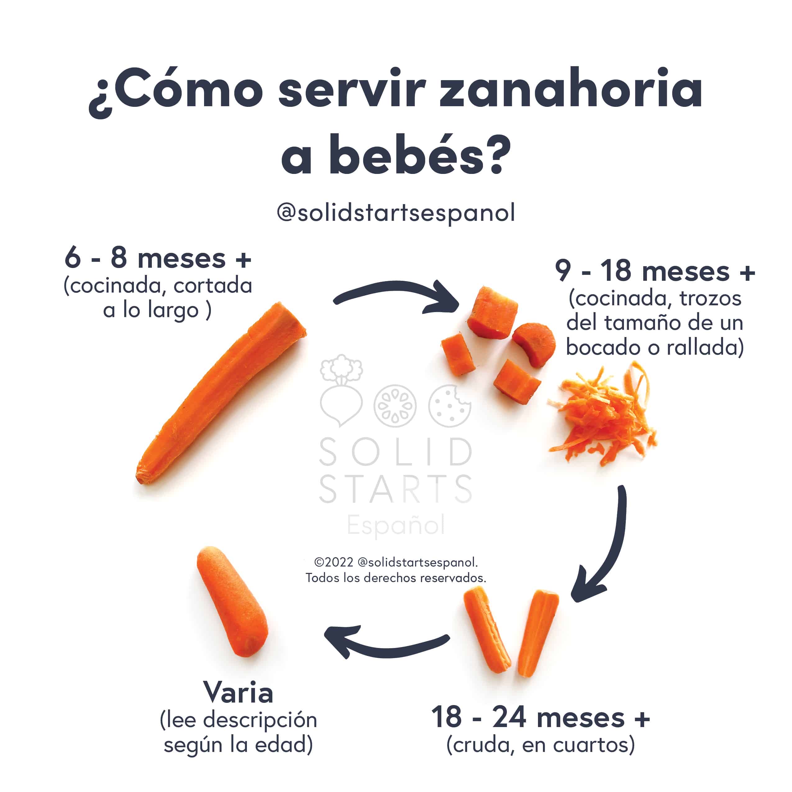 ¿Cuándo pueden comer zanahorias los bebés? - Solid Starts