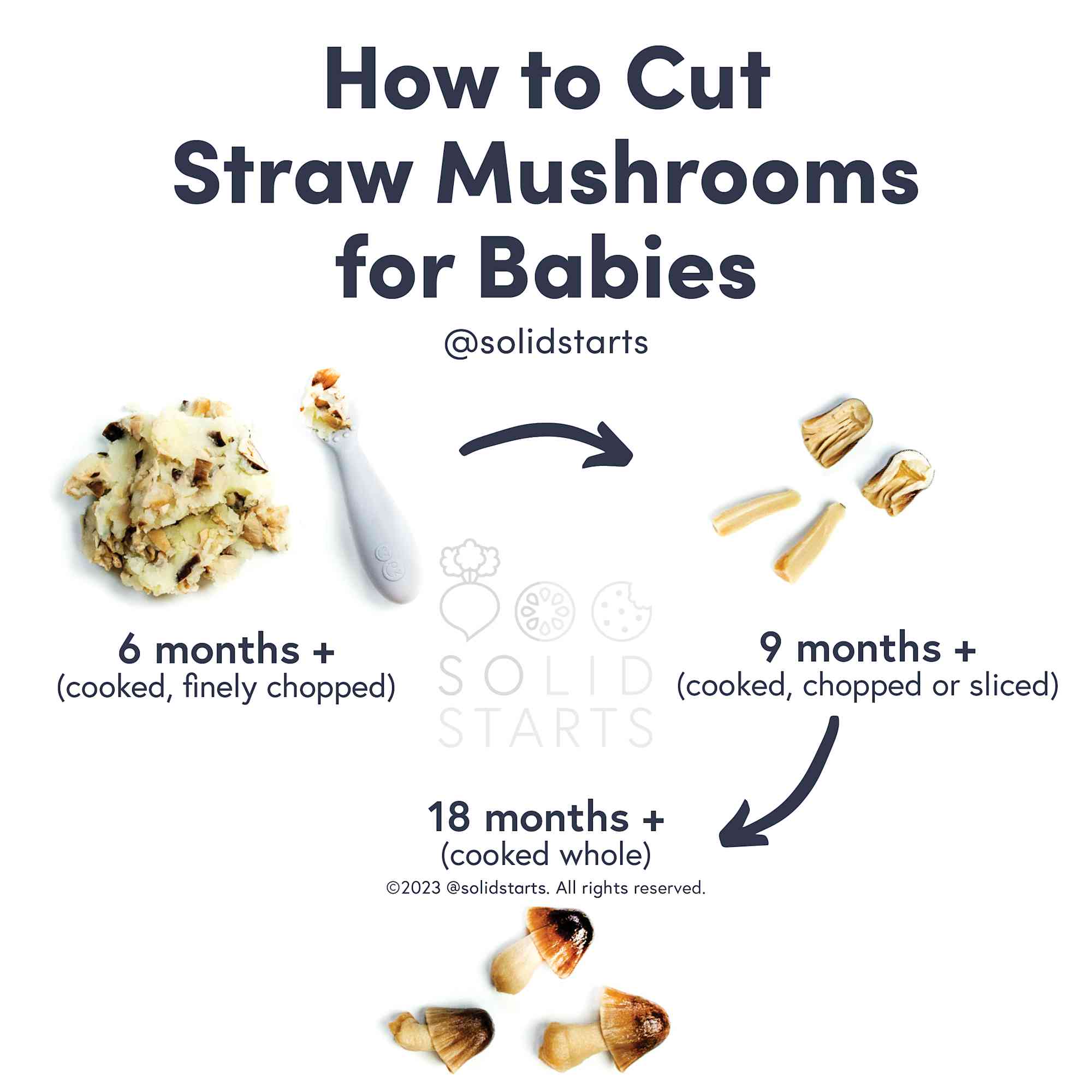 Straw Mushroom for Babies - When Can Babies Eat Straw Mushrooms - Solid ...