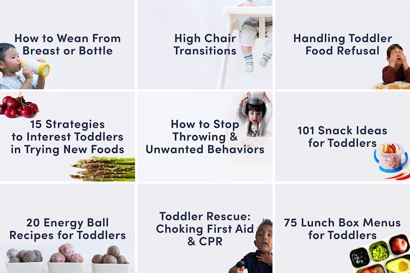 Handling Toddler Food Refusal - Solid Starts