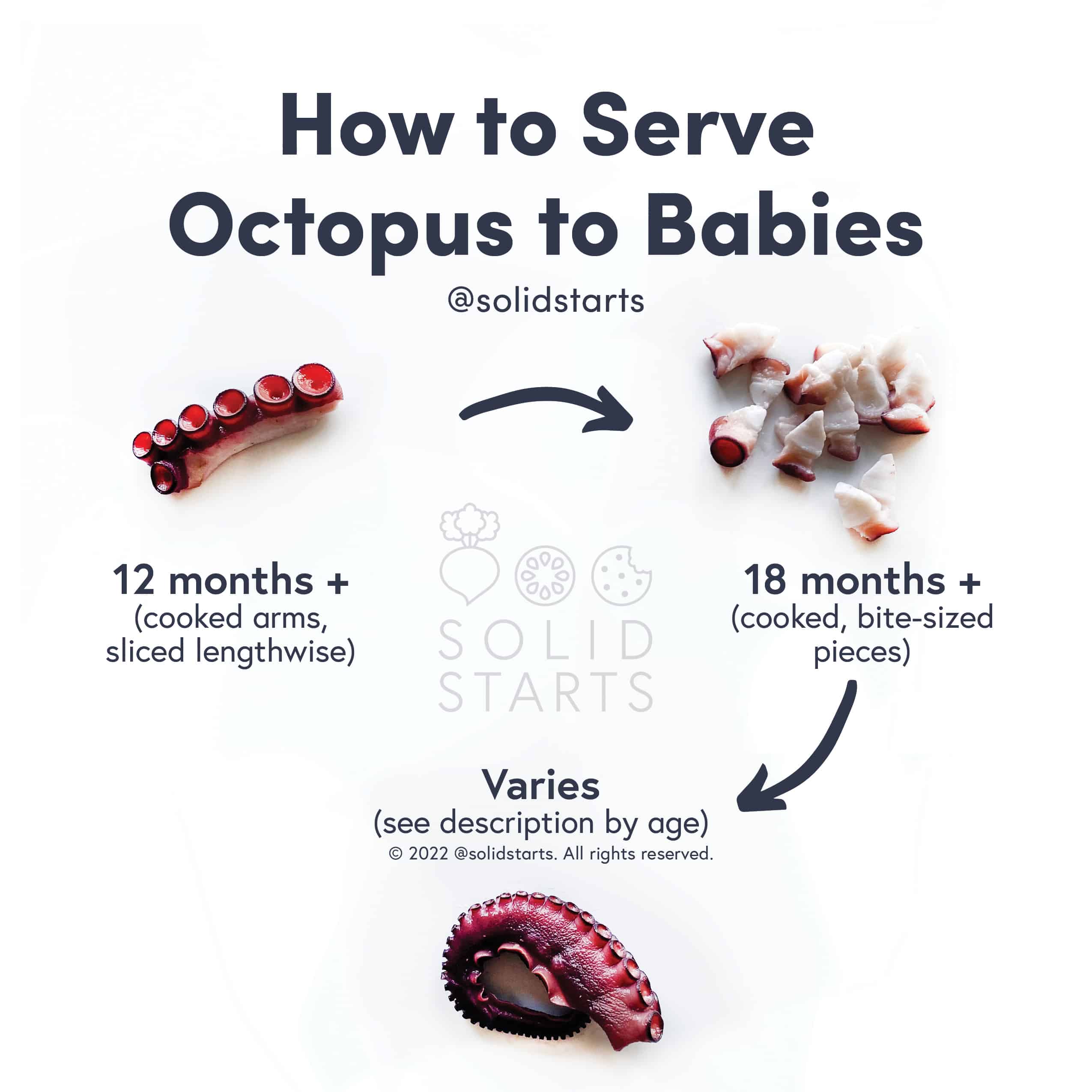 Octopus for Babies - First Foods for Baby - Solid Starts