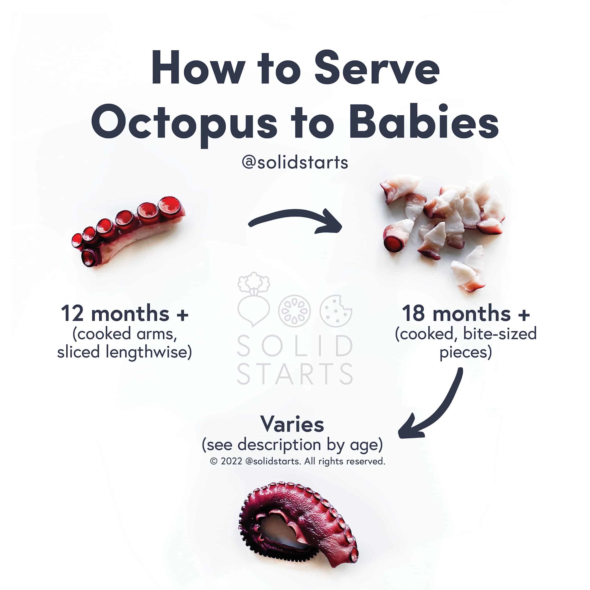Octopus for Babies - First Foods for Baby - Solid Starts