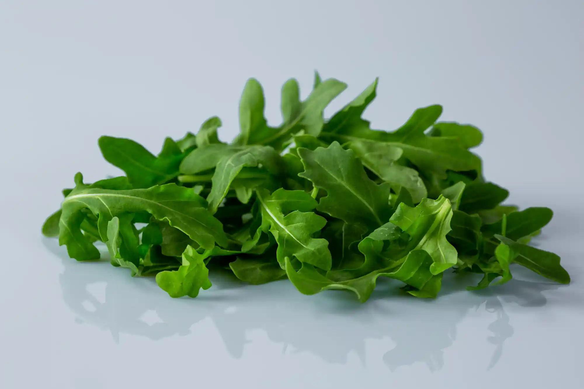 Arugula for Babies - Solid Starts