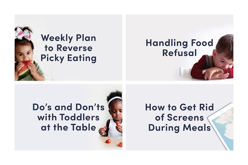 Reverse Picky Eating Bundle - Solid Starts