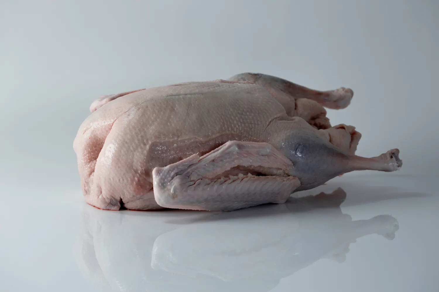 Goose for Babies - First Foods for Baby - Solid Starts