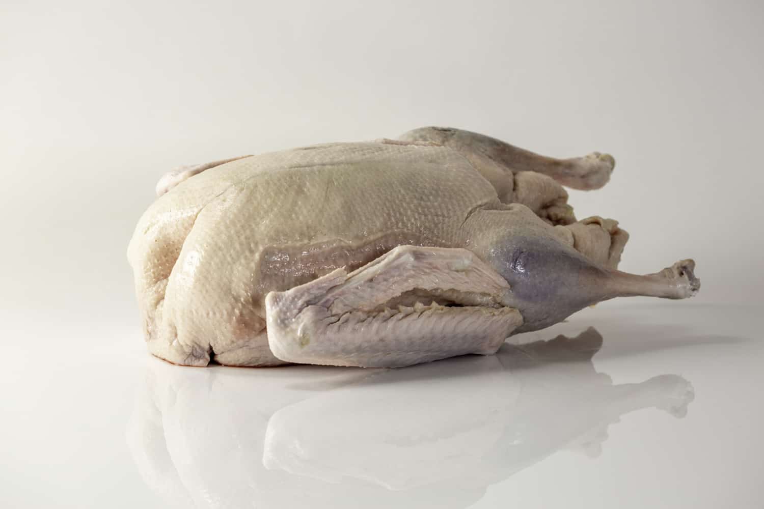 Goose for Babies - First Foods for Baby - Solid Starts