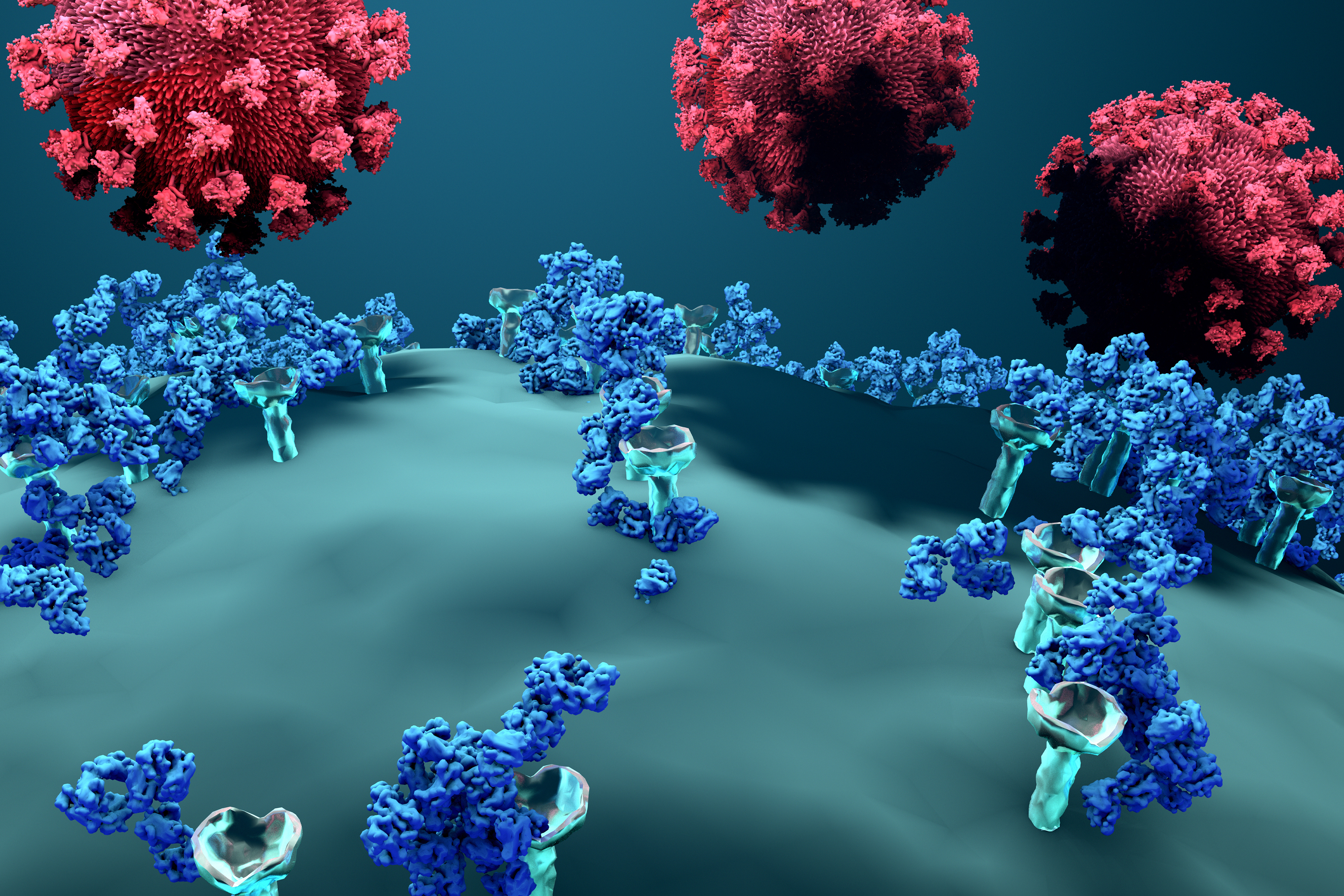 Nucleoside/Nucleotide Reverse Transcriptase Inhibitors (NRTIs)