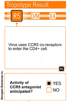 A Revolutionary New Way to Fight HIV/AIDS: CCR5 Inhibitors