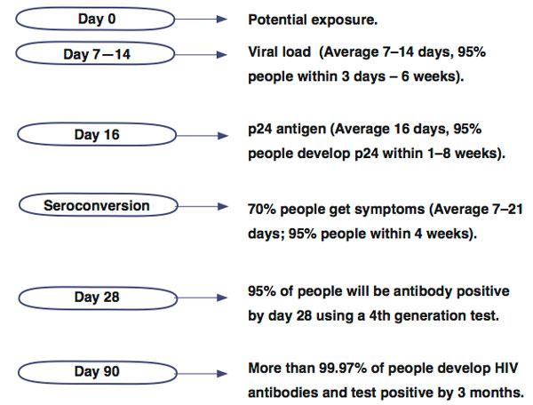 What Is the Window Period for an HIV Test?
