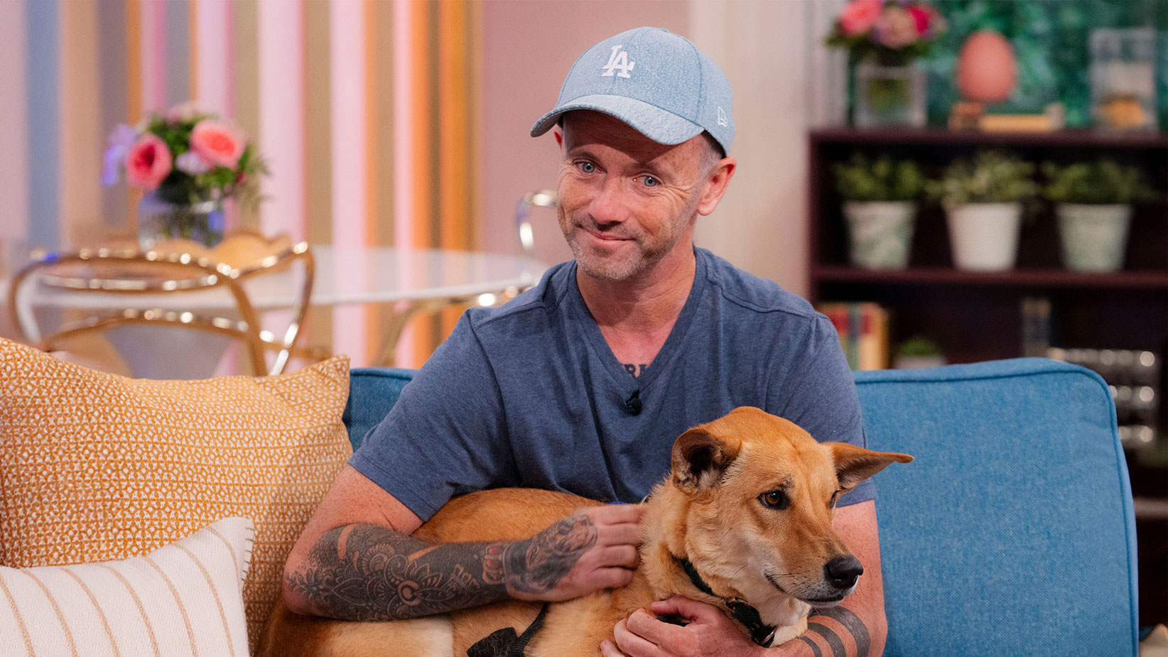 Meet the social media sensation dedicating his life to saving street ...