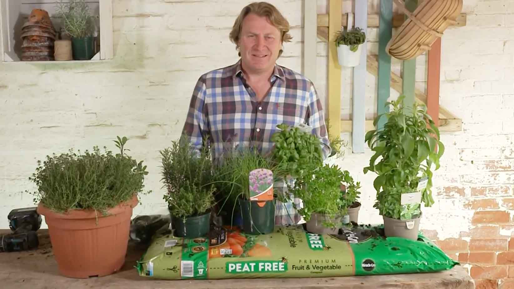 Grow your own herb garden and save some money! | This Morning
