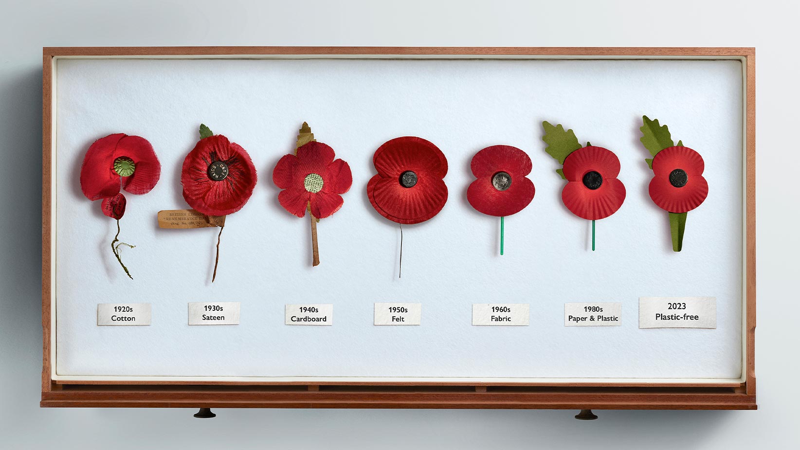 Remembrance poppies to be plastic free this year in major redesign ...