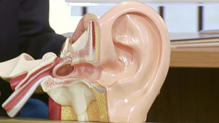 Look after your ears, and they'll look after you | This Morning
