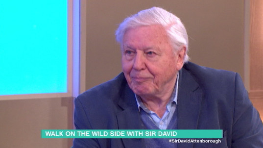Sir David makes Wednesday's Best Bit | This Morning