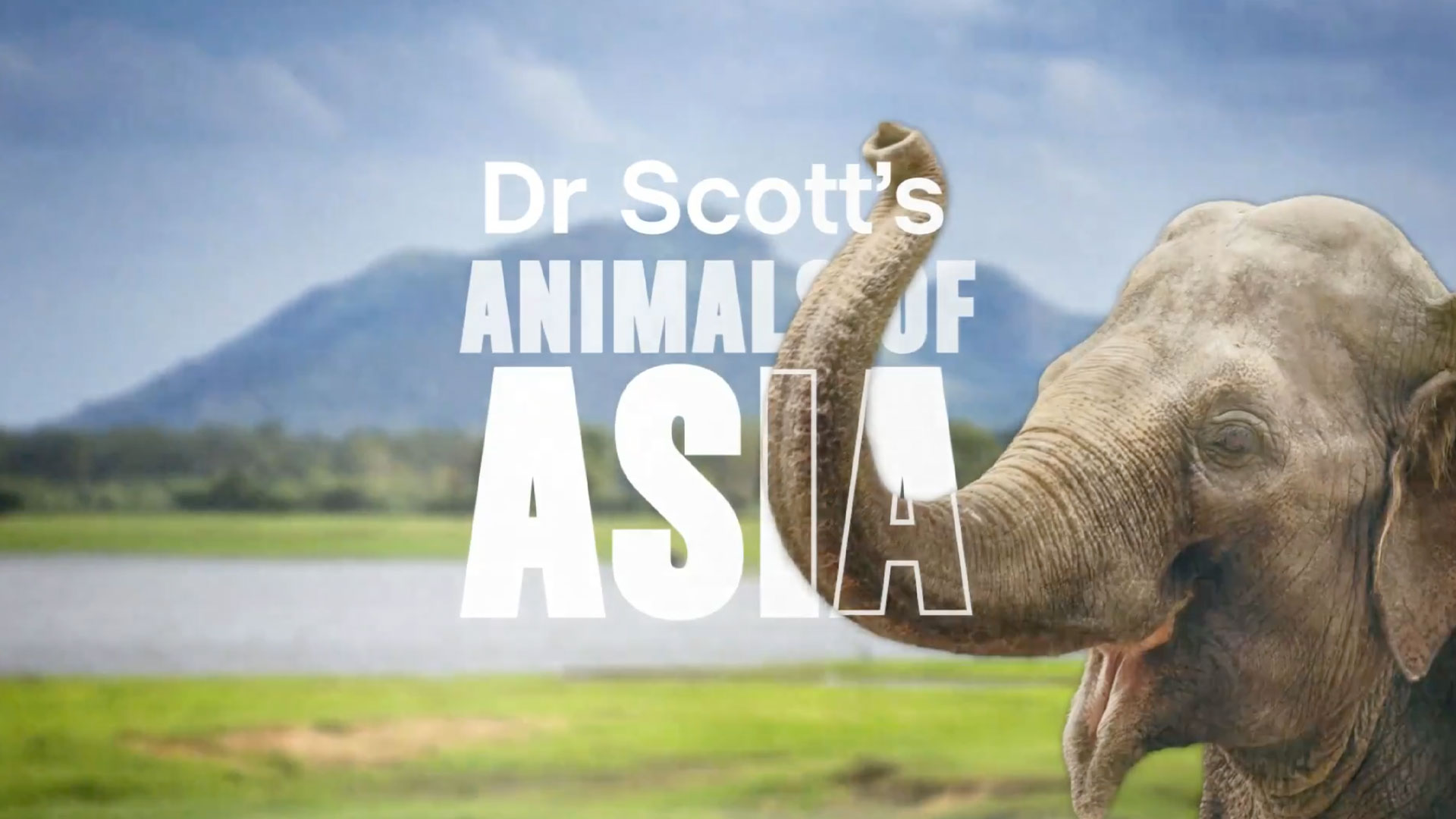 Dr Scott explores the animals of Asia | This Morning