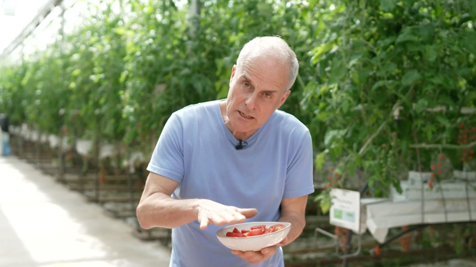 Phil Vickery's terrific tomatoes recipes | This Morning