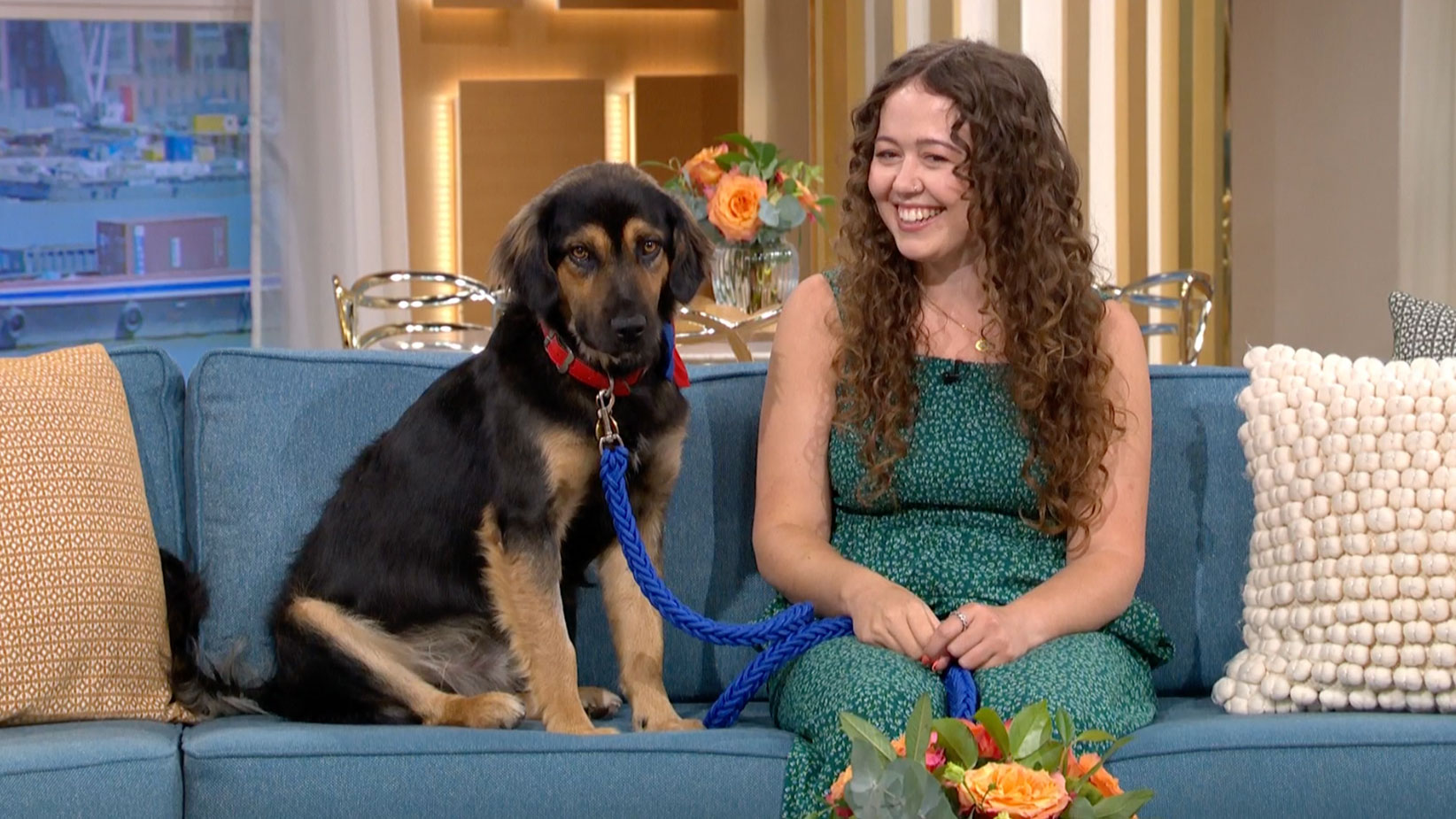 British backpacker reunites with stray dog she rescued in Peru | This ...