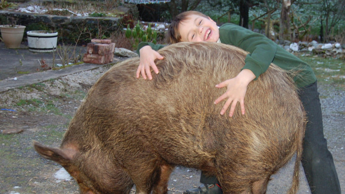 How Chester the pig has transformed Sam's life | This Morning