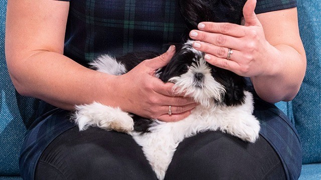 This week's highlights! | This Morning