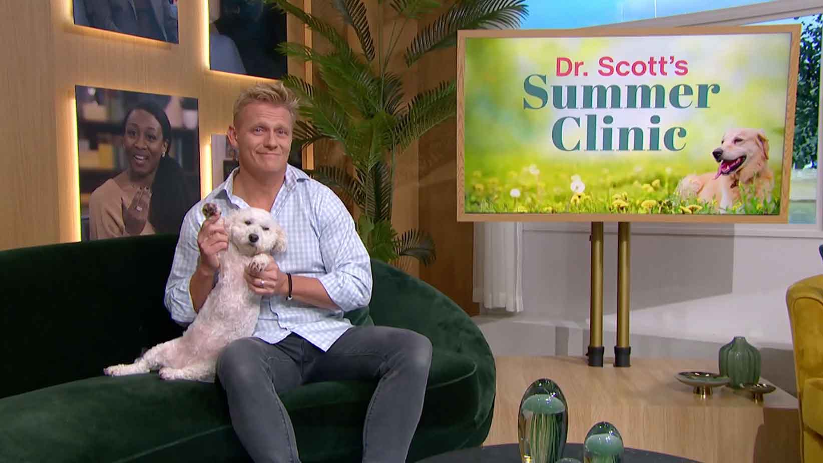 Dr Scott's tips to keep your pet healthy this summer | This Morning
