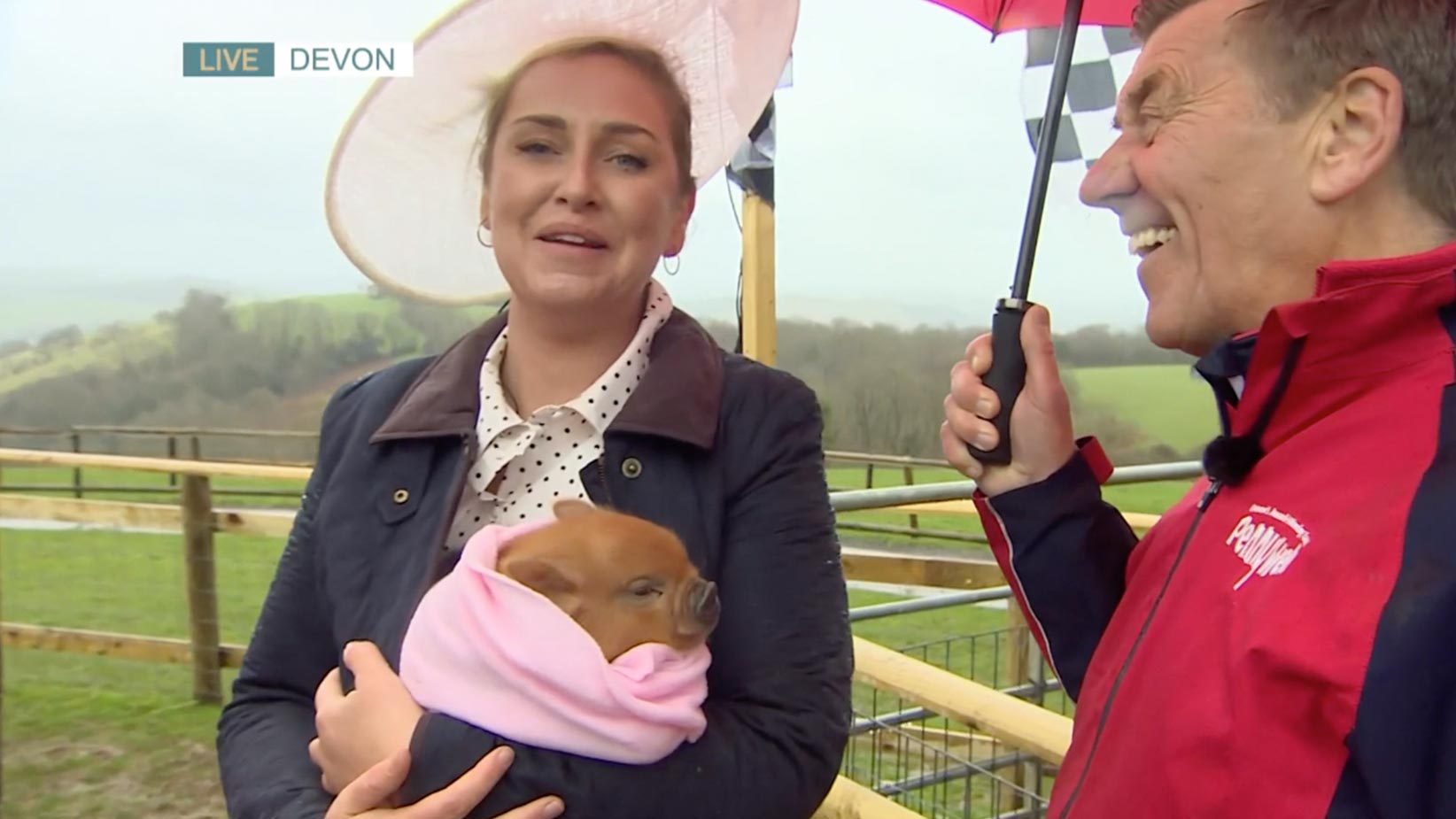 Josie goes to the pig races! | This Morning