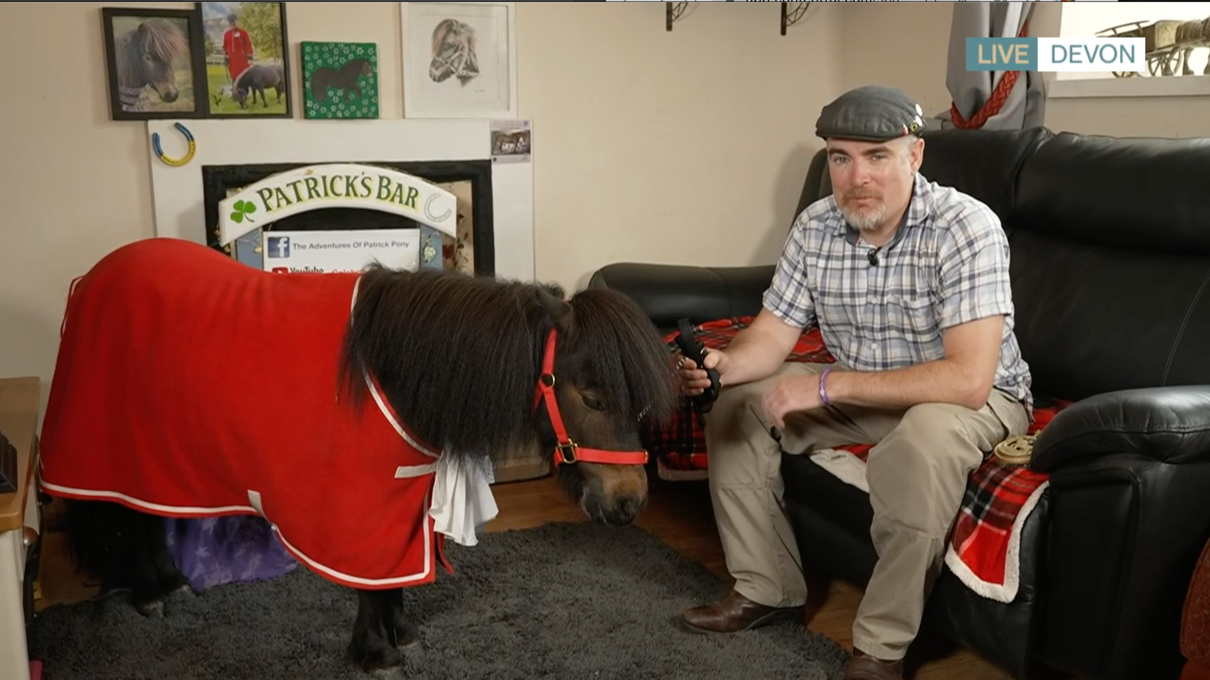 We meet the unofficial village mayor of Cockington, Patrick the Pony ...