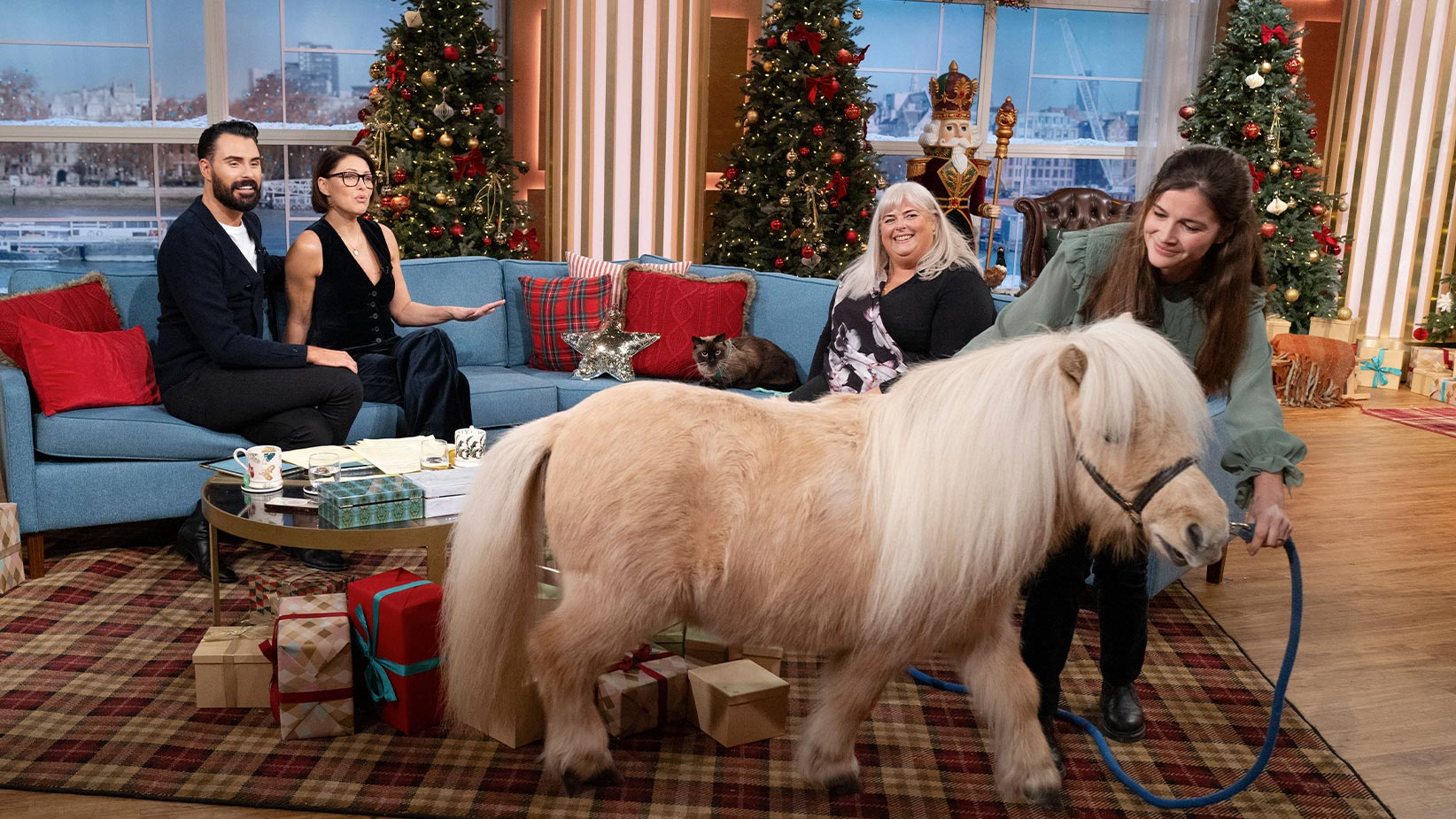 How Britain’s most spoilt pets are spending Christmas | This Morning