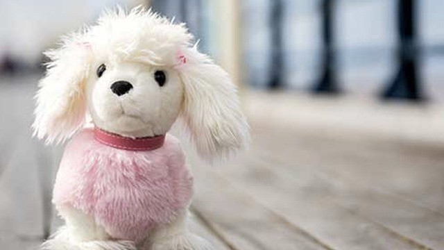 Do you recognise any of these lost toys? | This Morning