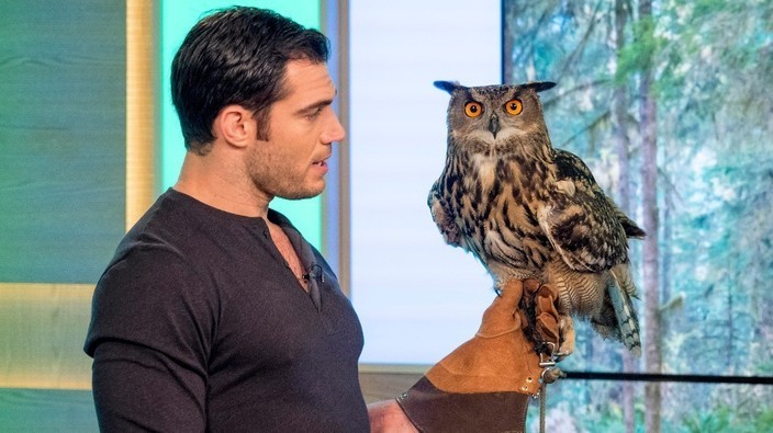 Let's get wild, with the Insta-famous vet and his exotic menagerie ...