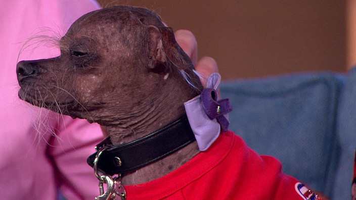 We help ugly dog Mugly to fulfil his bucket list | This Morning