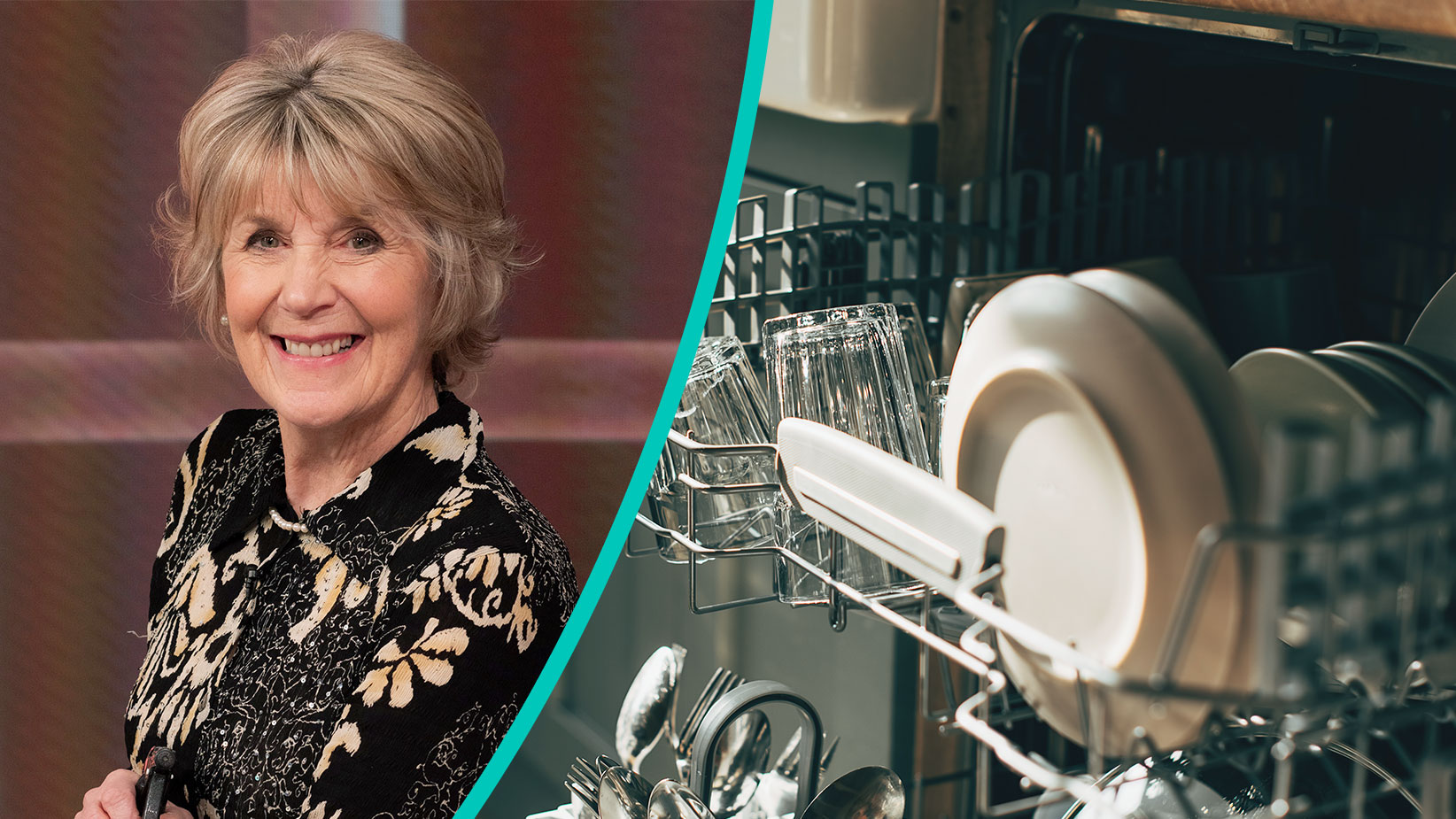 Nancy Birtwhistle's ultimate guide to keeping your dishwasher and ...