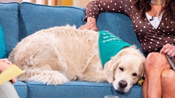 'Who needs a man... I'm marrying my dog!' | This Morning