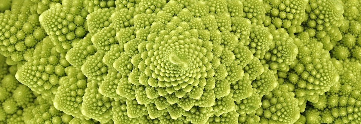 Understanding Fund Investments and their Impact | responsAbility