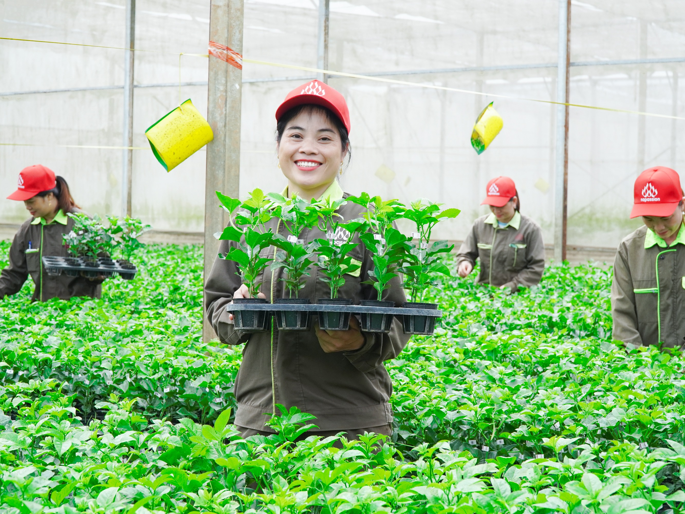 Impact investing for a sustainable world - responsAbility | responsAbility