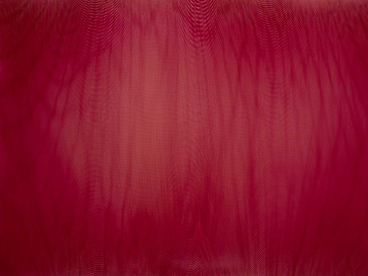 Daniel Kukla (b. 1983, USA)