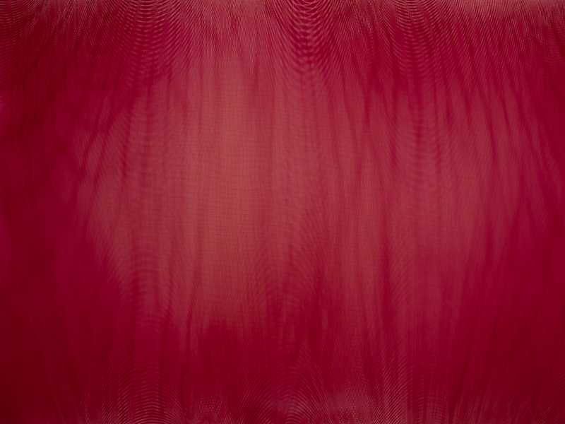 Daniel Kukla (b. 1983, USA)